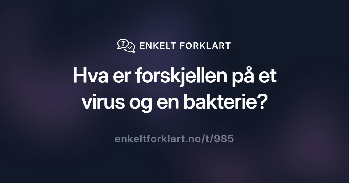 Hva er forskjellen på et virus og en bakterie?